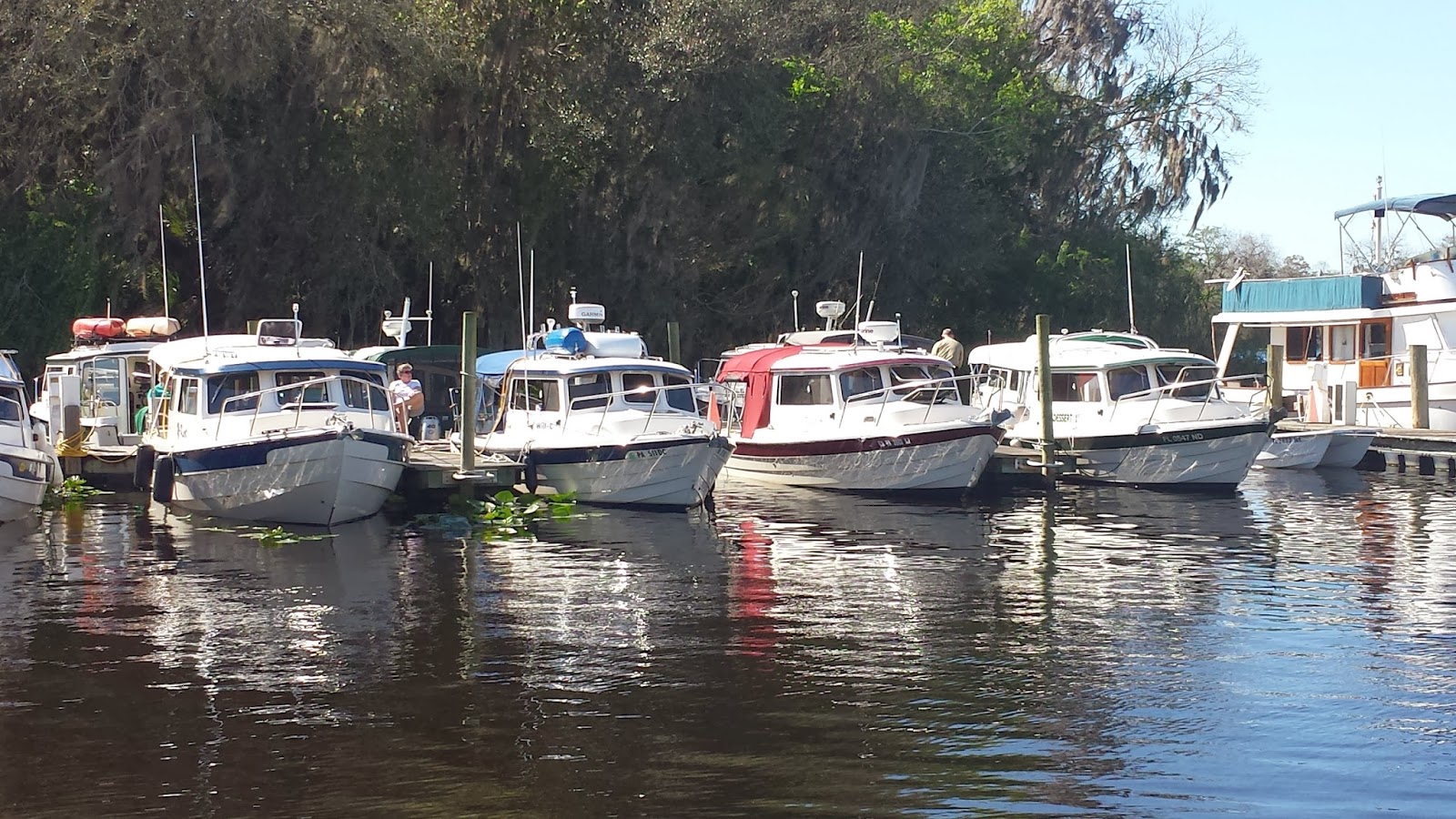 Freedom on The Great Loop: C-Dories Gather at Hontoon Island State Park